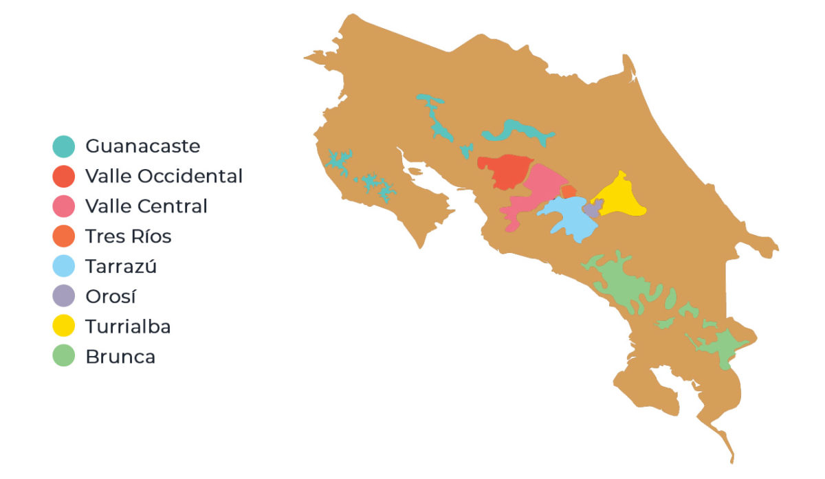 Processes - Costa Rica Coffee Experts